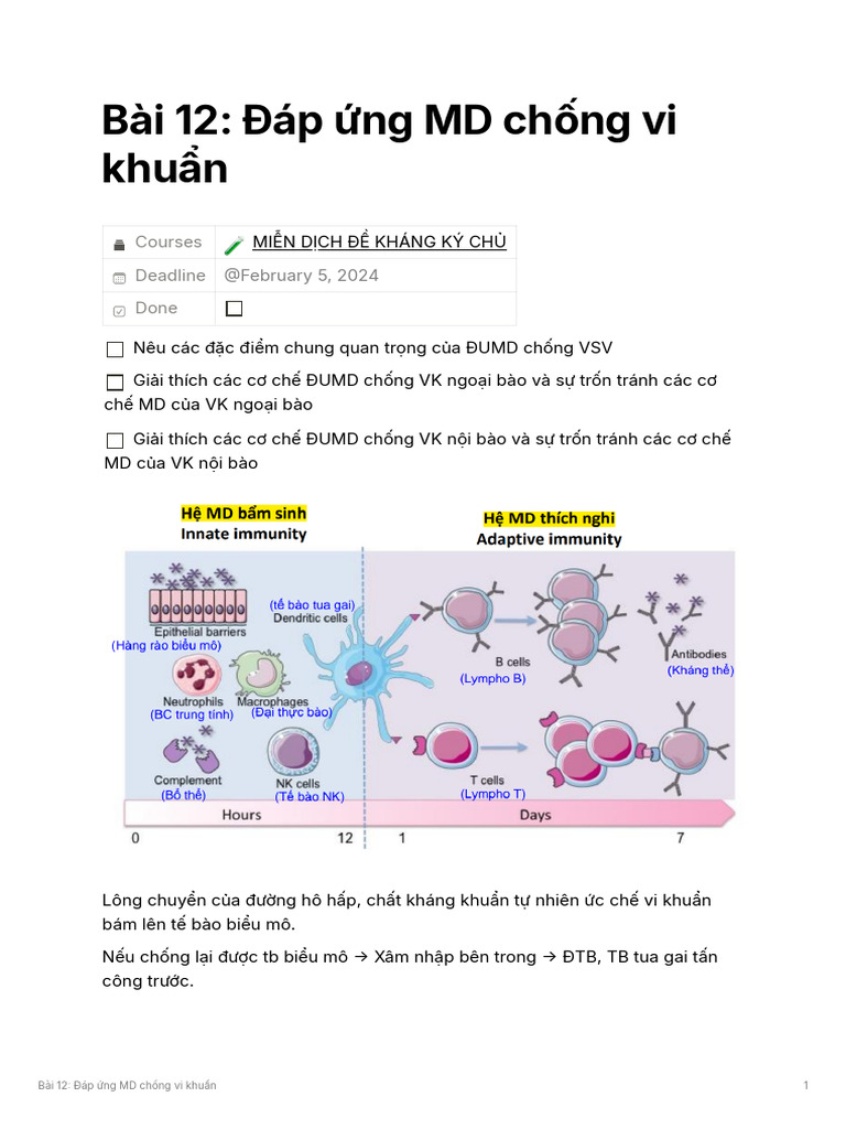 Bi 12 P NG MD CHNG Vi Khun | PDF