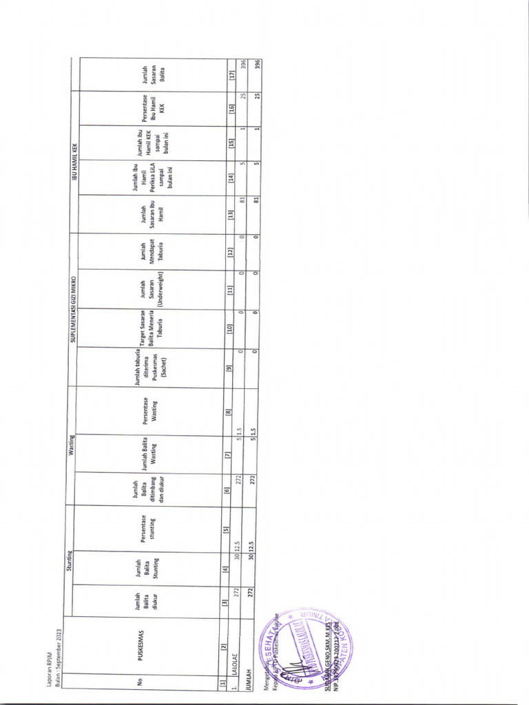 Lap. RPJM Gizi | PDF