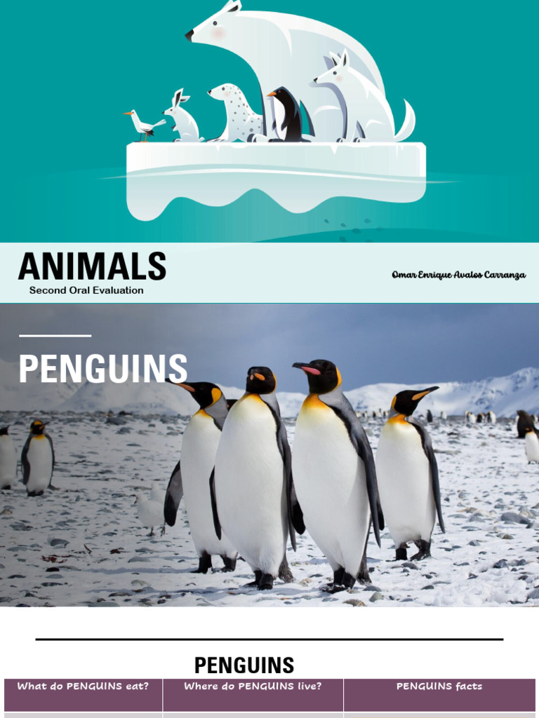 Animal Movement for Kids: Penguins & Kangaroos | PDF