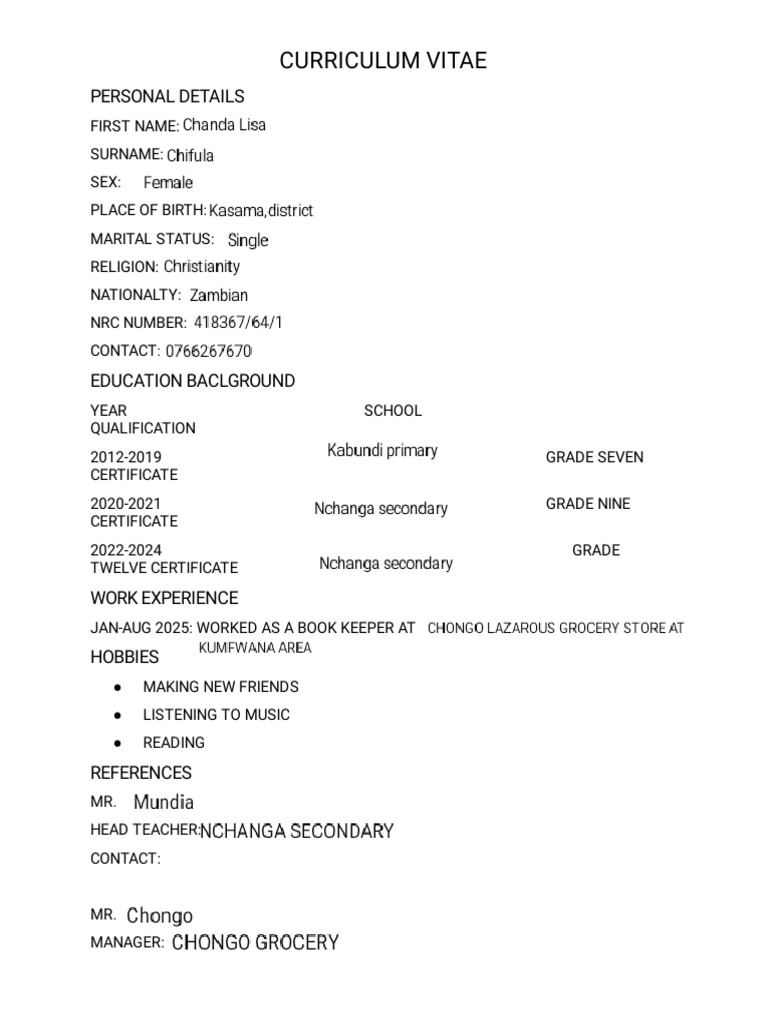 Curriculum Vitae | PDF