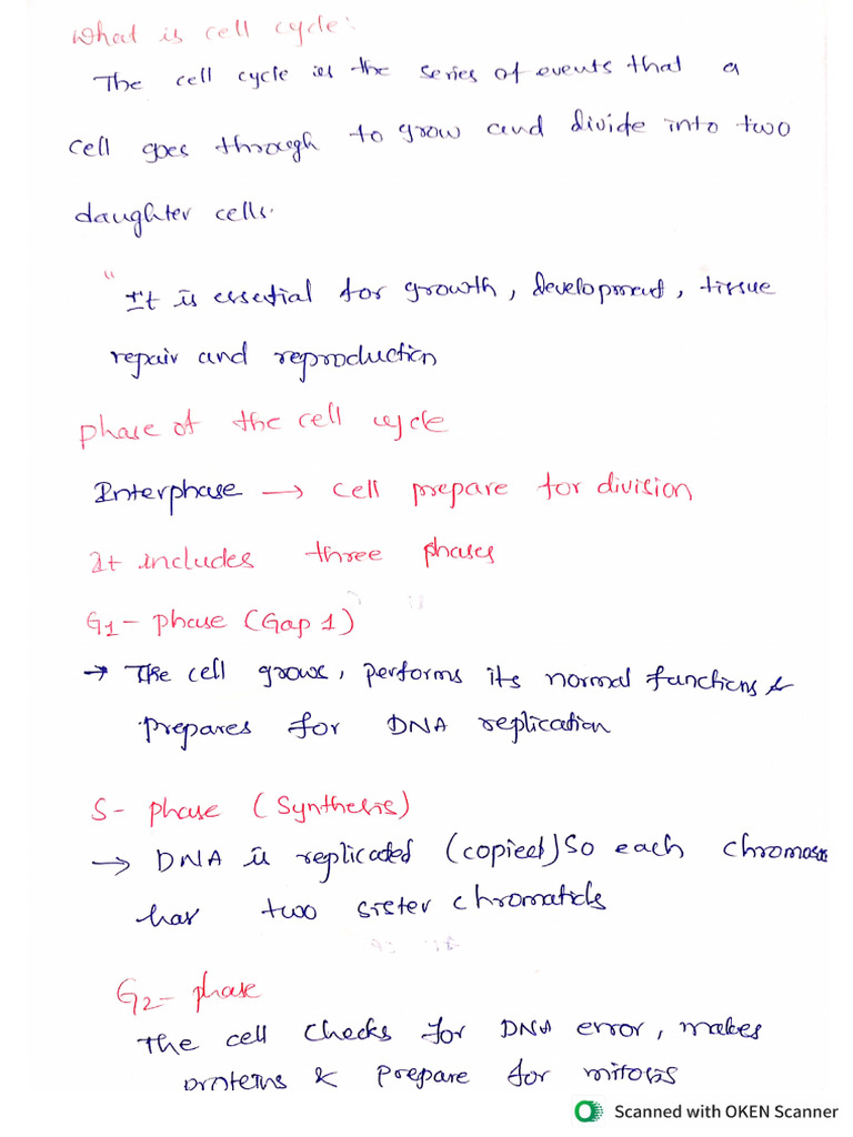 Cell Cycle and Restriction Factors | PDF