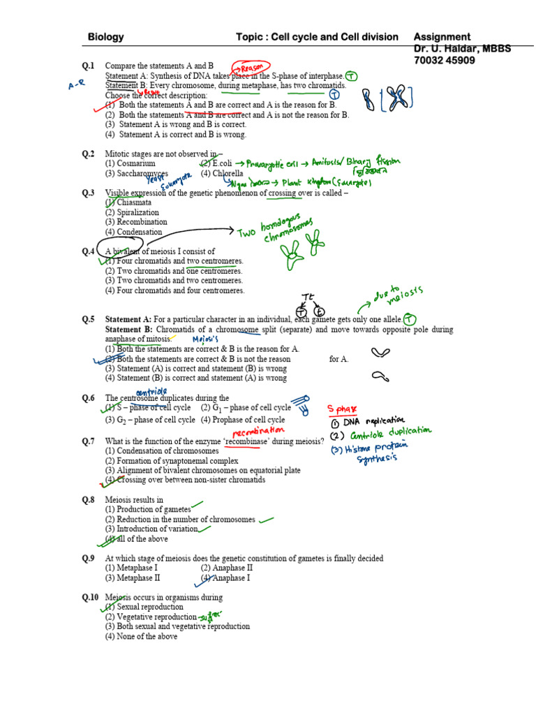 Cell Cycle and Division Quiz Questions | PDF | Mitosis | Meiosis