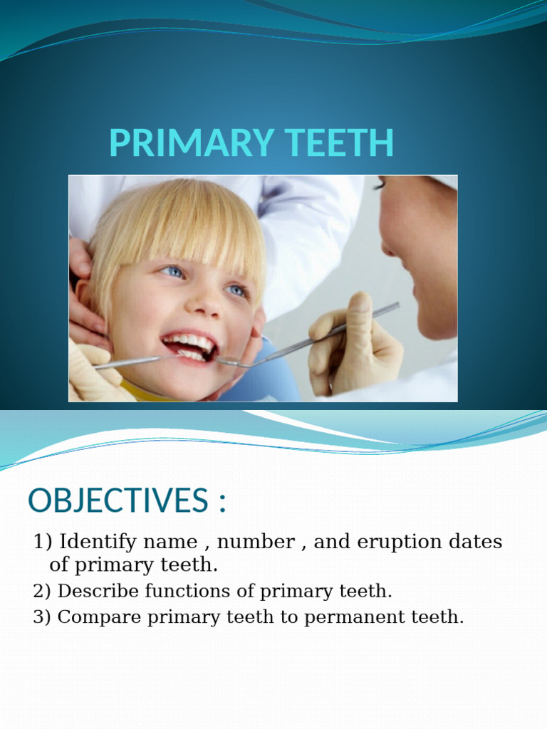 Primary Teeth | PDF | Dental Anatomy | Dentistry