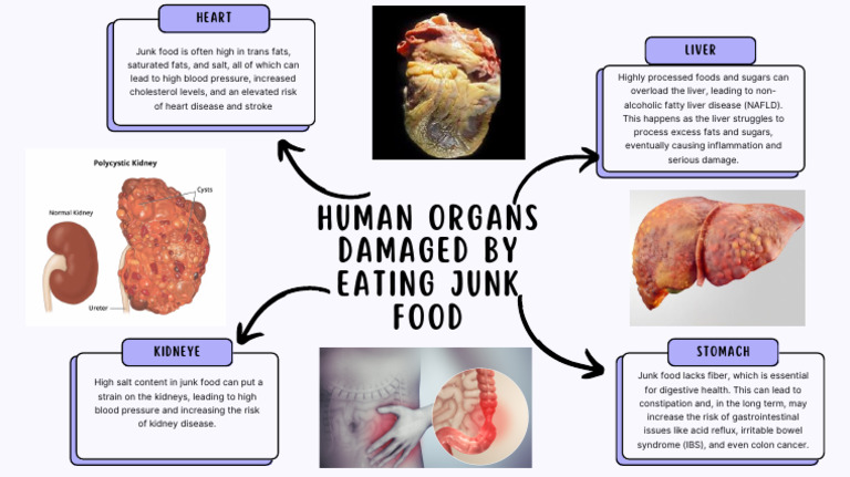 HUMan Organs Damaged by Eating Junk Food | PDF