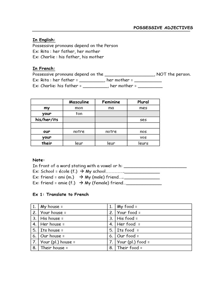 1 - Possessive Adjectives-Kids-Student Notes | PDF