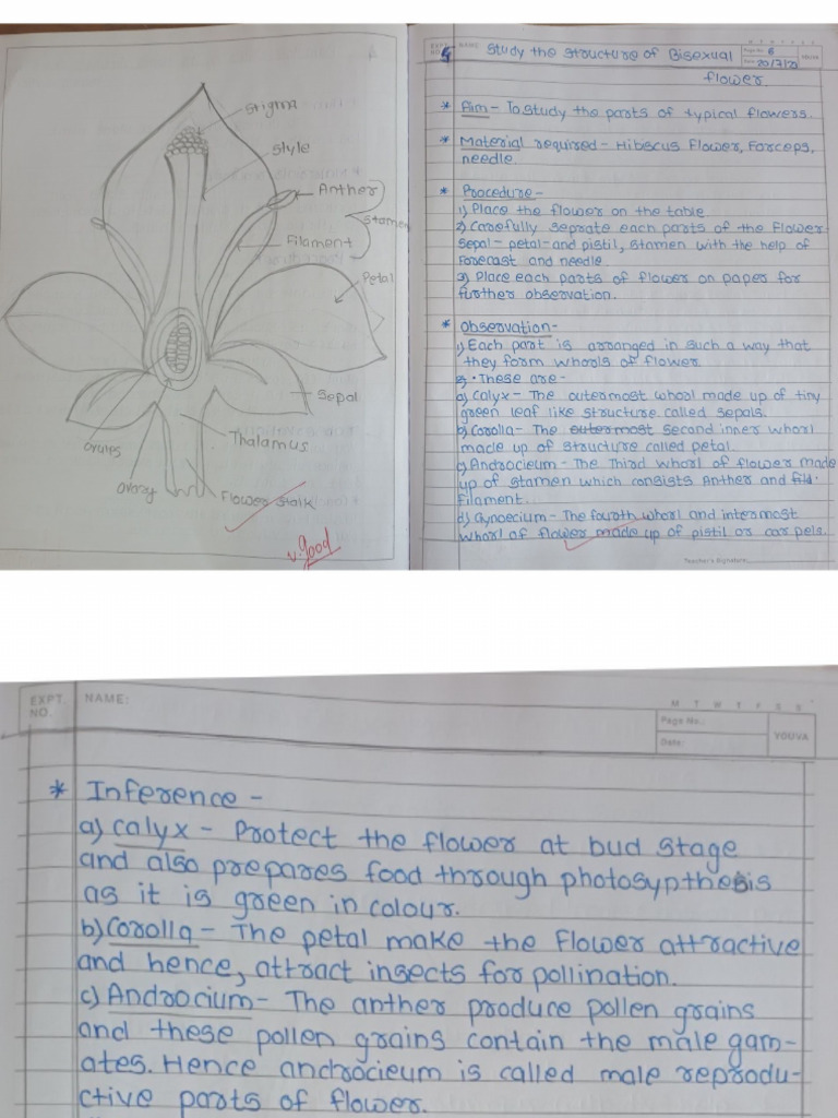 Grade 6 Practical No 5-1752996685899ttyyty | PDF