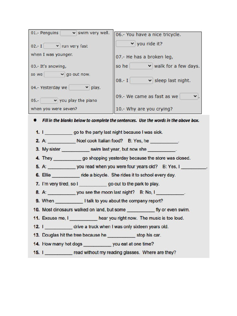 Can Could Worksheet | PDF