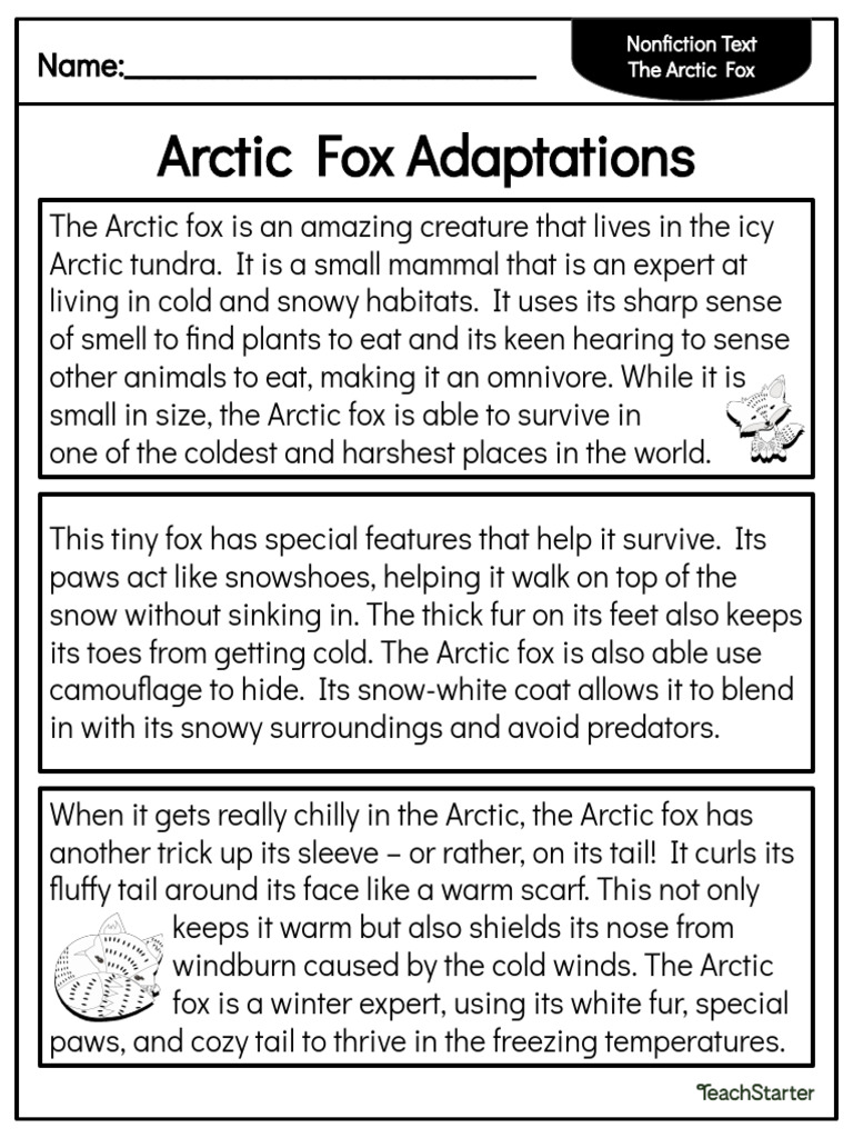 Arctic Fox Adaptations Free Comprehension Worksheet Printable PDF | PDF ...