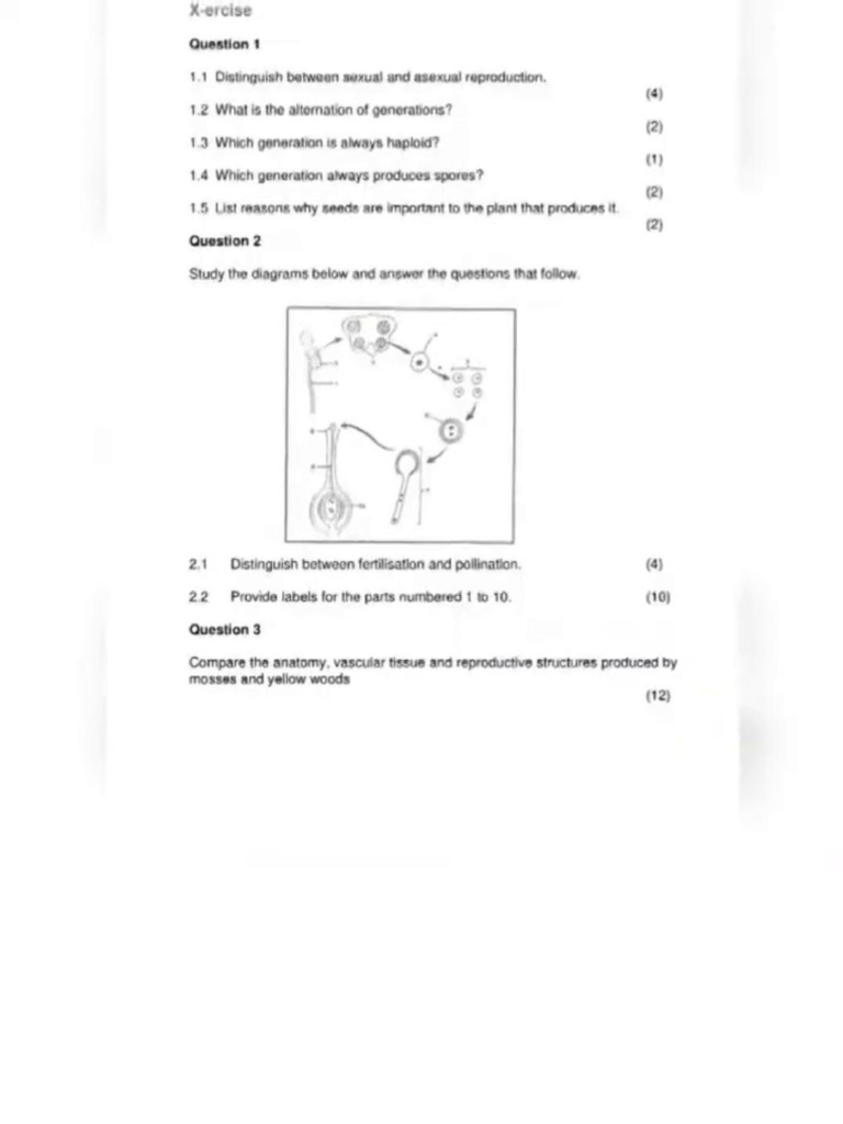 Life Science 3 | PDF
