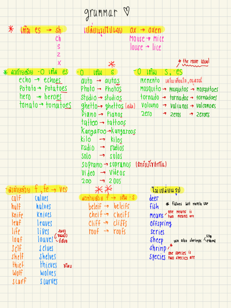 Regular Irregular Nouns | PDF