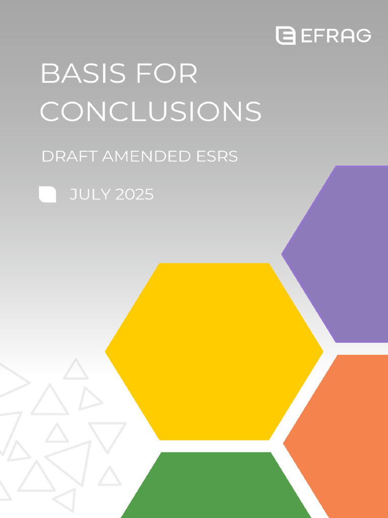Amended ESRS Exposure Drafts Summary | PDF