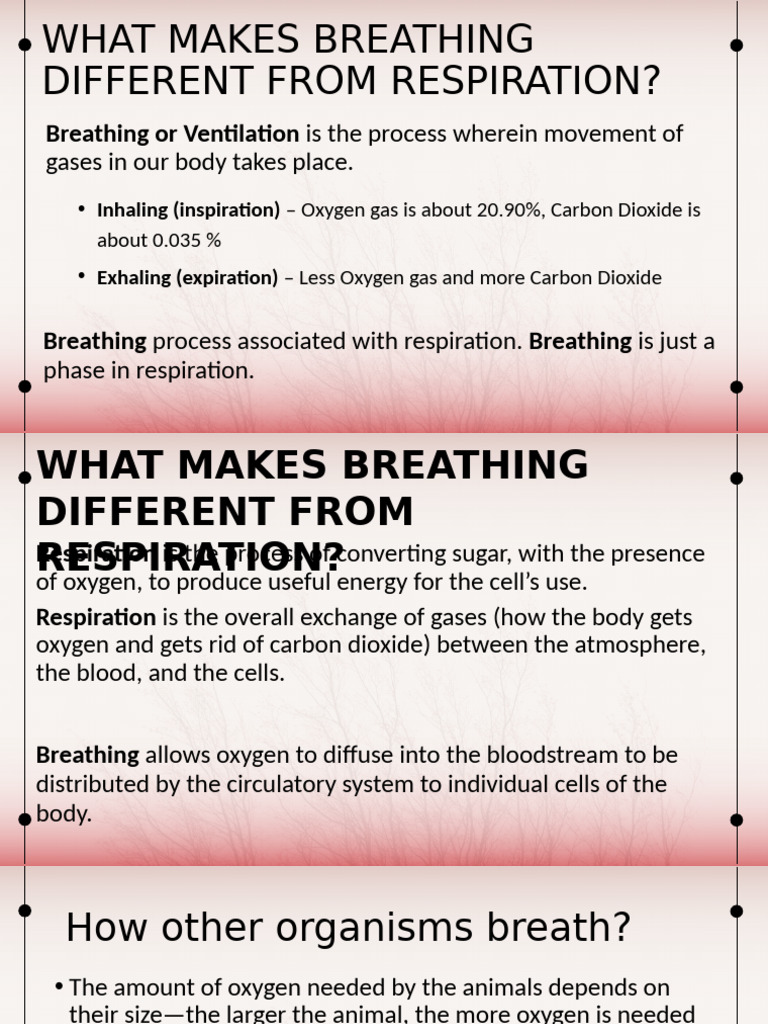 Respiratory and Circulatory System | PDF | Respiratory System | Heart Valve
