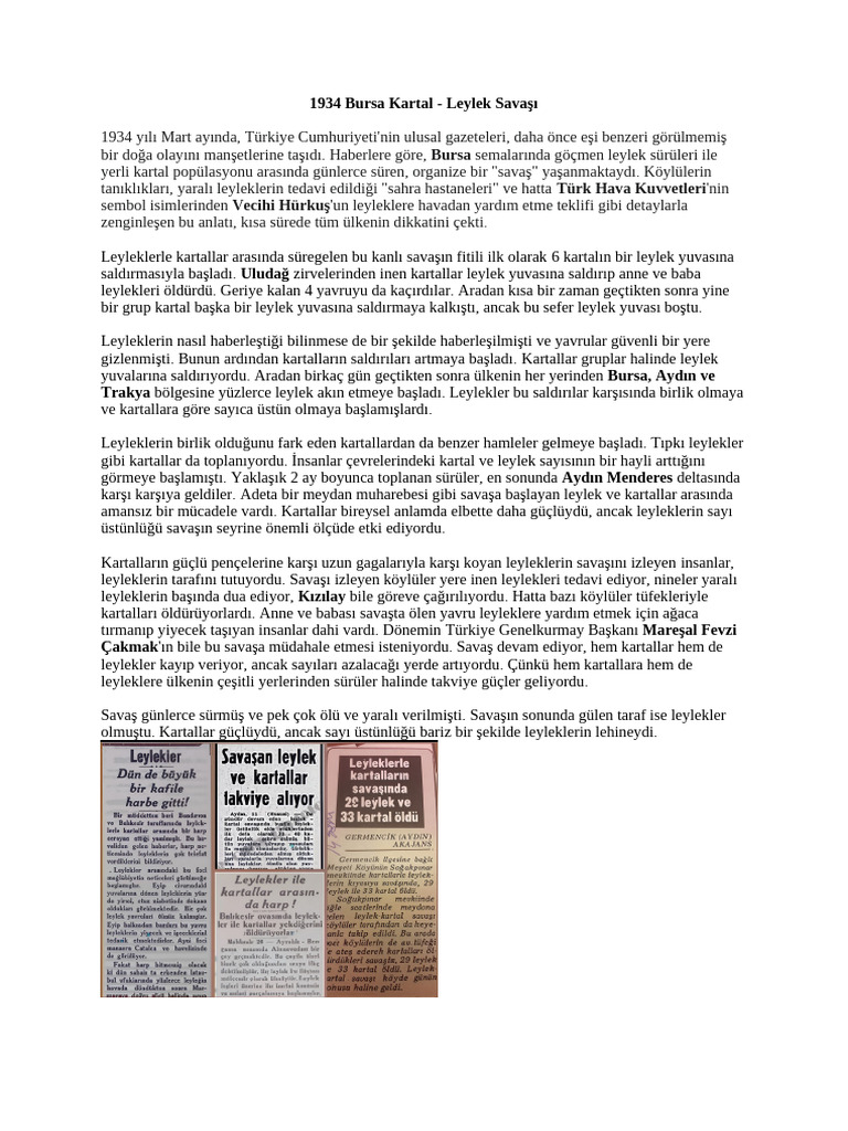 Kartal Leylek Savaşı (Y) | PDF