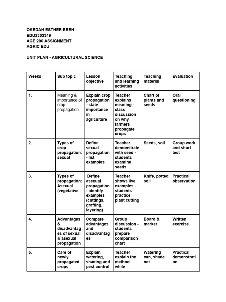 Age 206 Unit Plan Assignment | PDF
