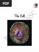 Taxonomy Cheat Sheet Pdf