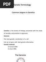 Grade 12 Life Sciences Paper 2 Terminologies-1 | PDF | Genetics | Gene