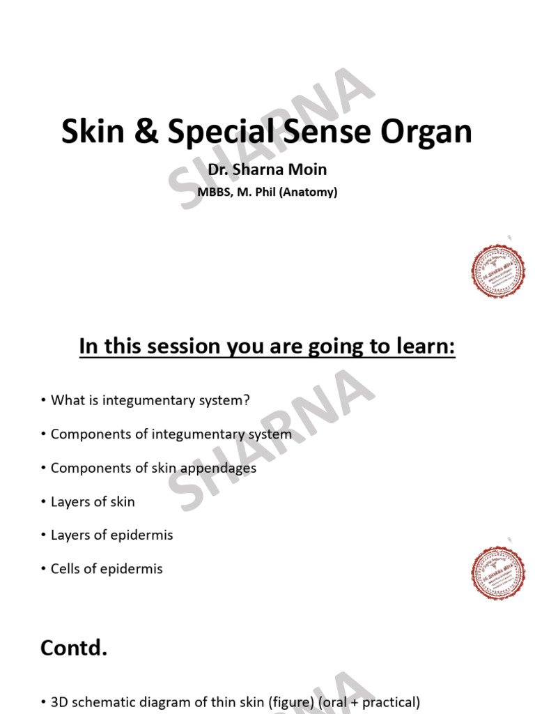 Skin and Special Sense Organ | PDF | Integumentary System | Epidermis