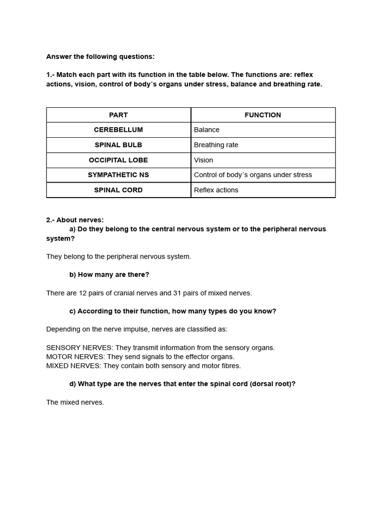 Activities About Summary 2 | PDF