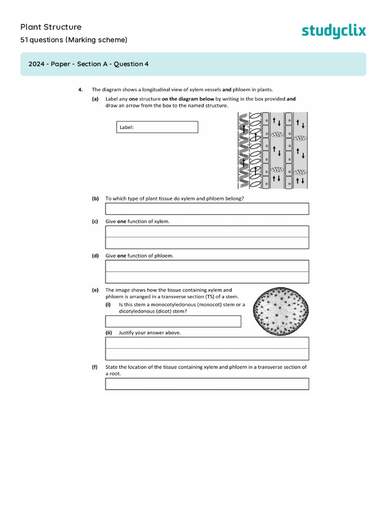 Plant Structure Exam Questions & Marking | PDF | Tests | Educational ...