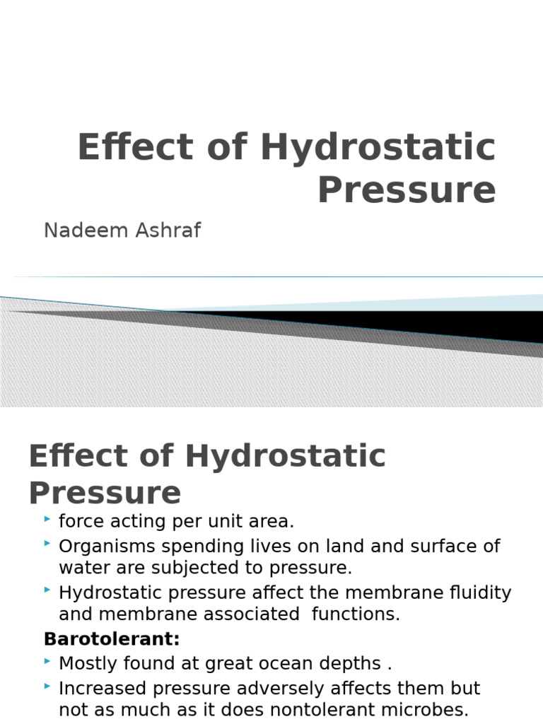 Effect of Hydrostatic Pressure | PDF