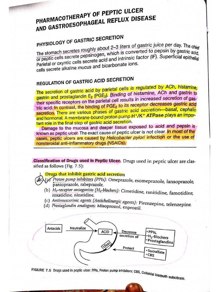 Drugs Used in Peptic Ulcer | PDF