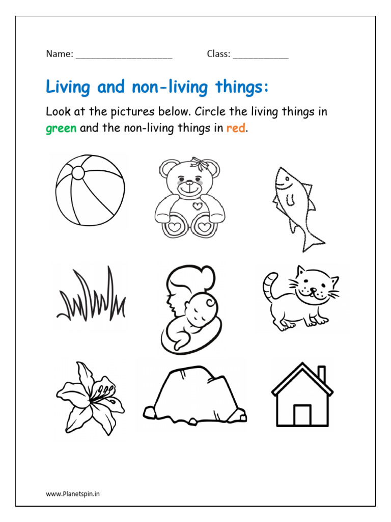 Color Living Things and Non Living Things Worksheet | PDF
