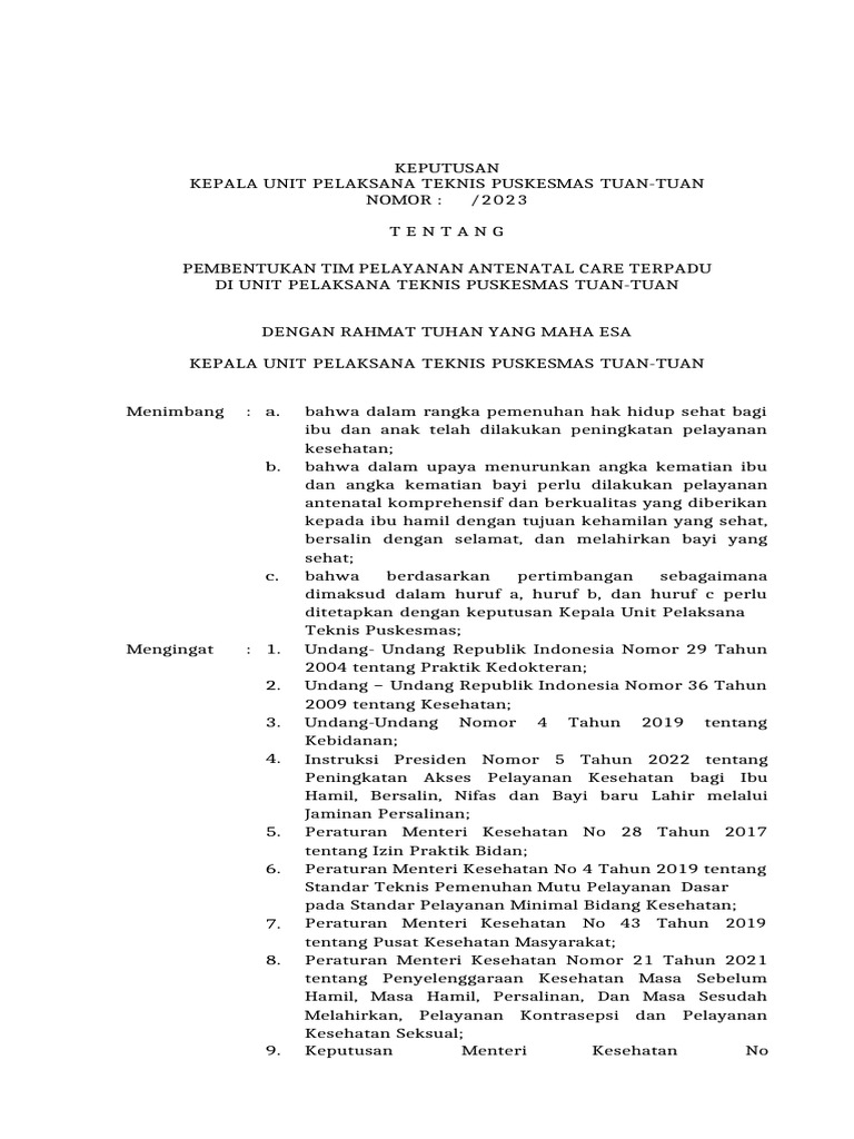 SK Tim Pelayanan Pemeriksaan ANC Terpadu | PDF