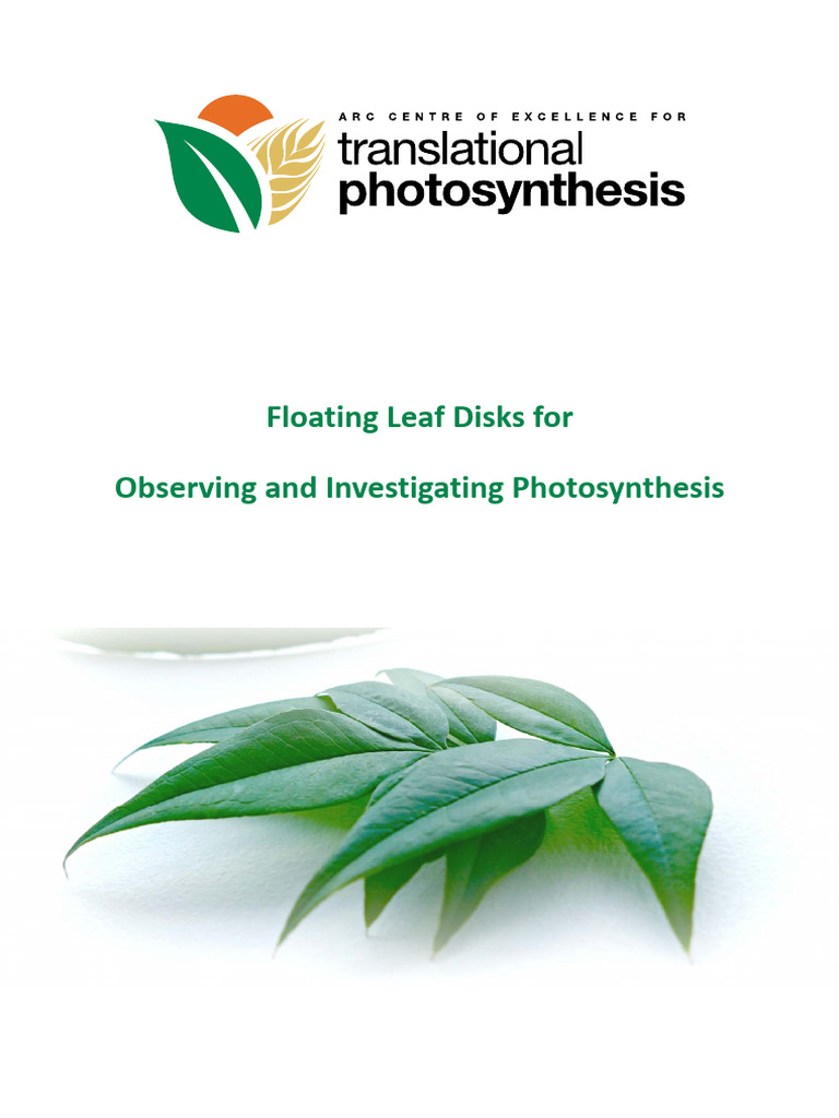 Floating Leaf Disk Photosynthesis Lab | PDF | Bicarbonate | Leaf