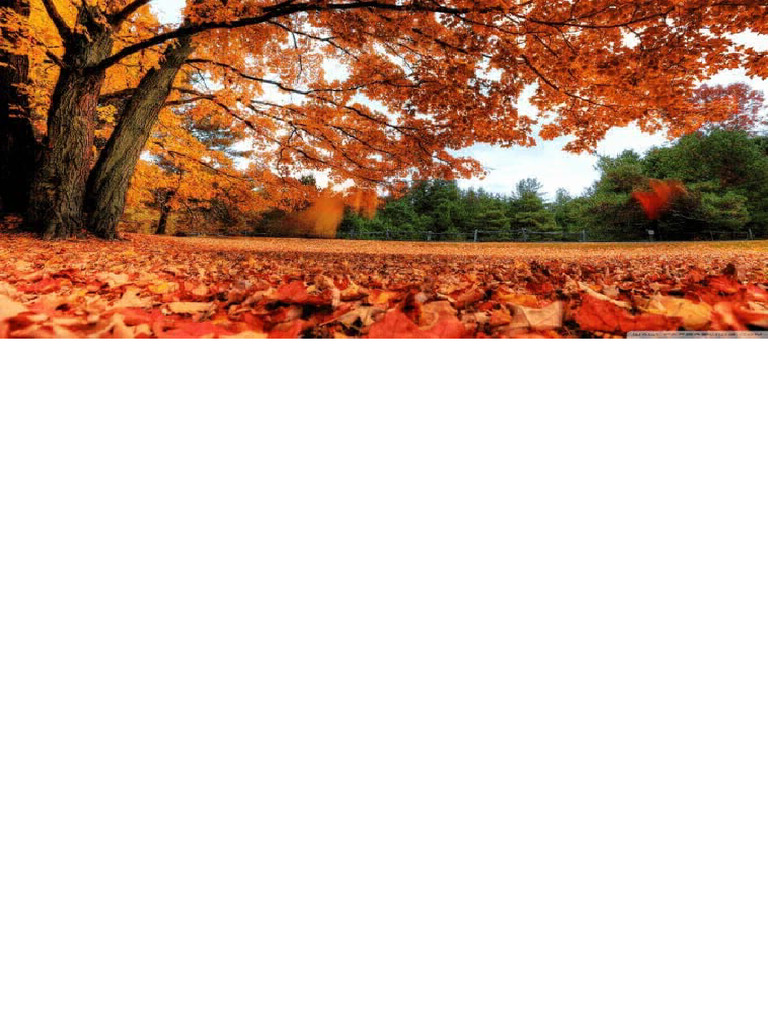 Autumn-Fall-Featured - JPG 700×394 Pixels 2 | PDF
