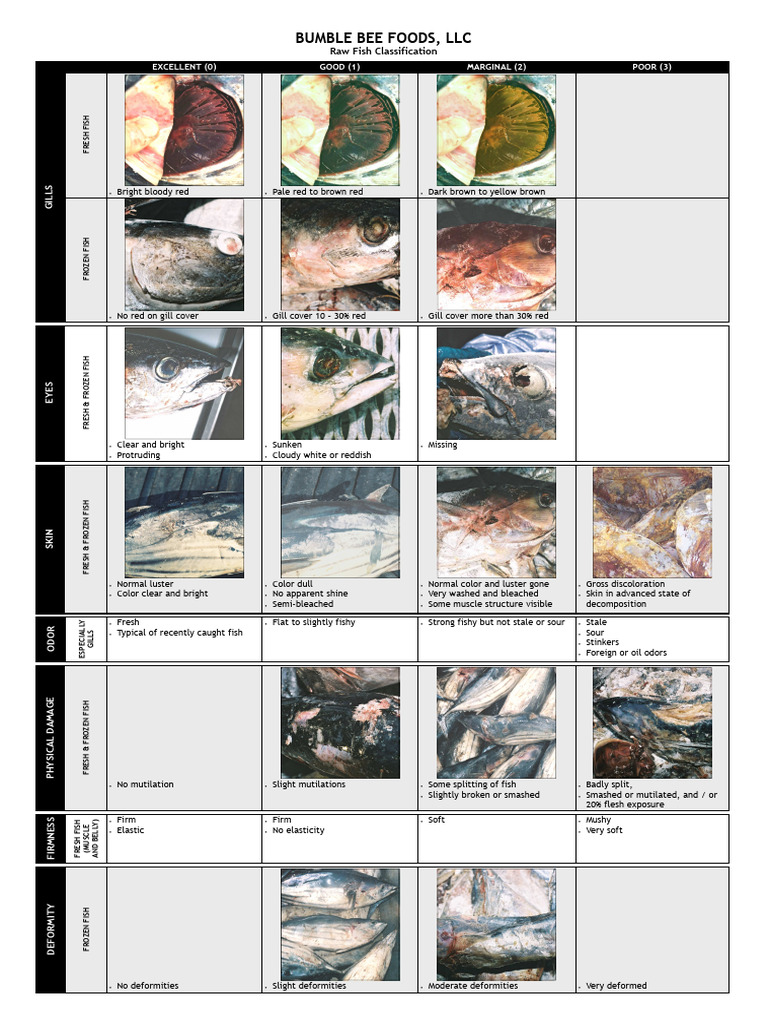 Raw Fish Quality Classification Guide | PDF