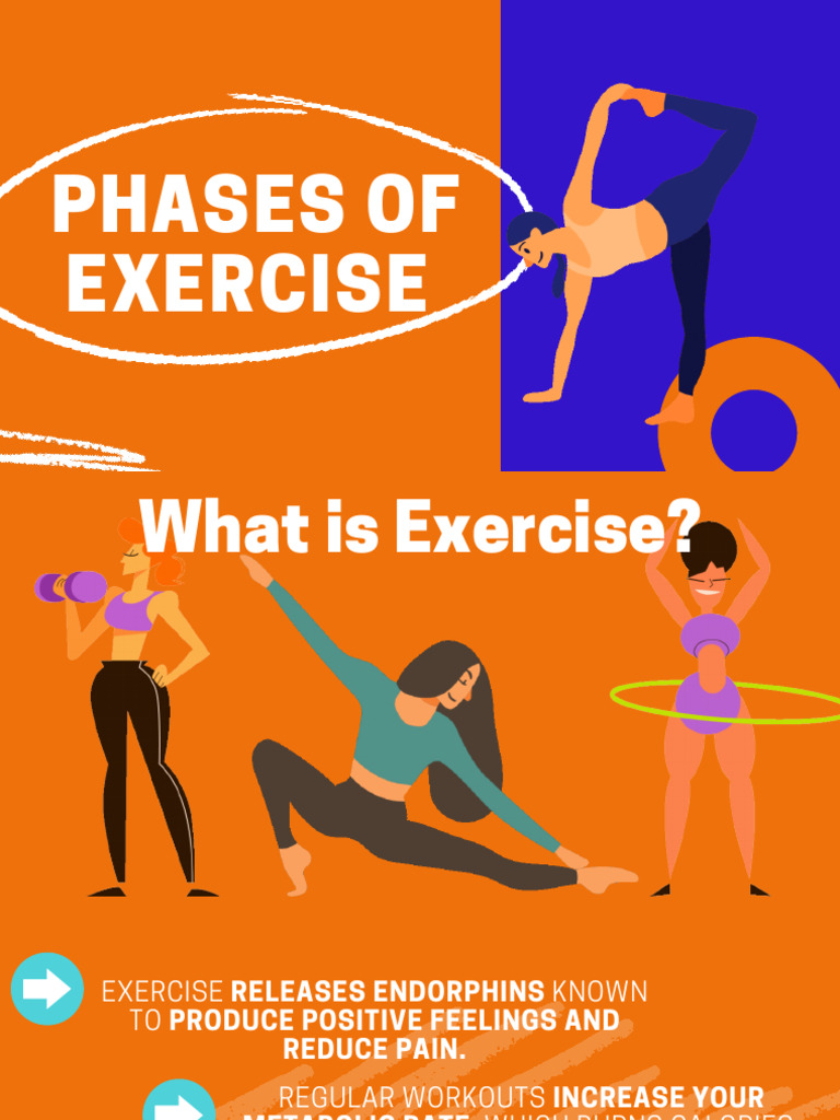Phases of Exercise2 | PDF