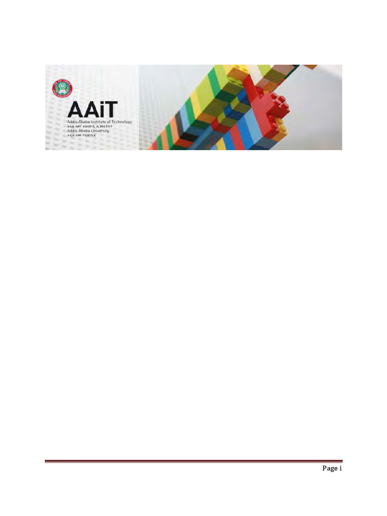 Biruk Tsegaye | PDF | Paint | Adsorption