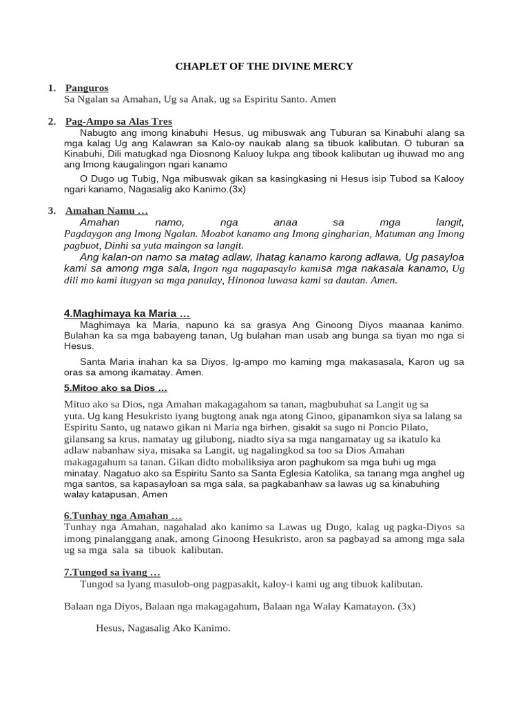 Chaplet of The Divine Mercy | PDF