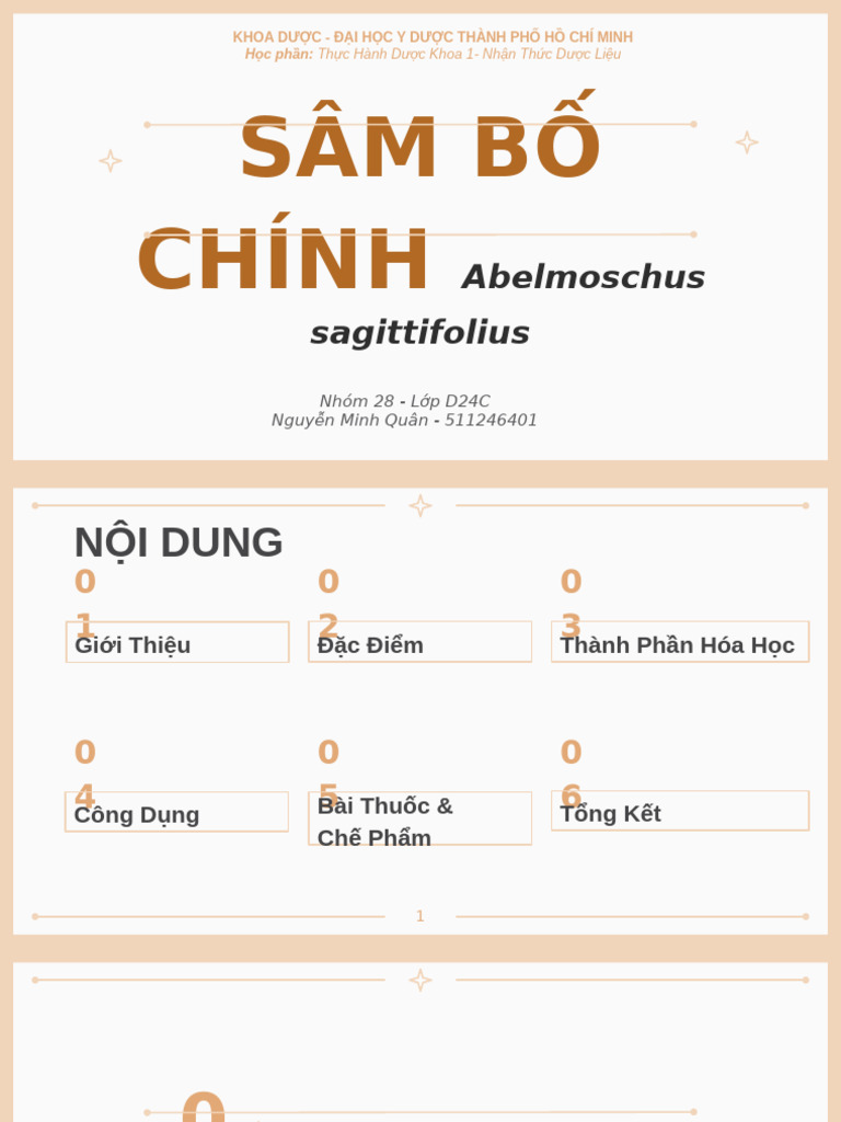 Sam Bo Chinh | PDF