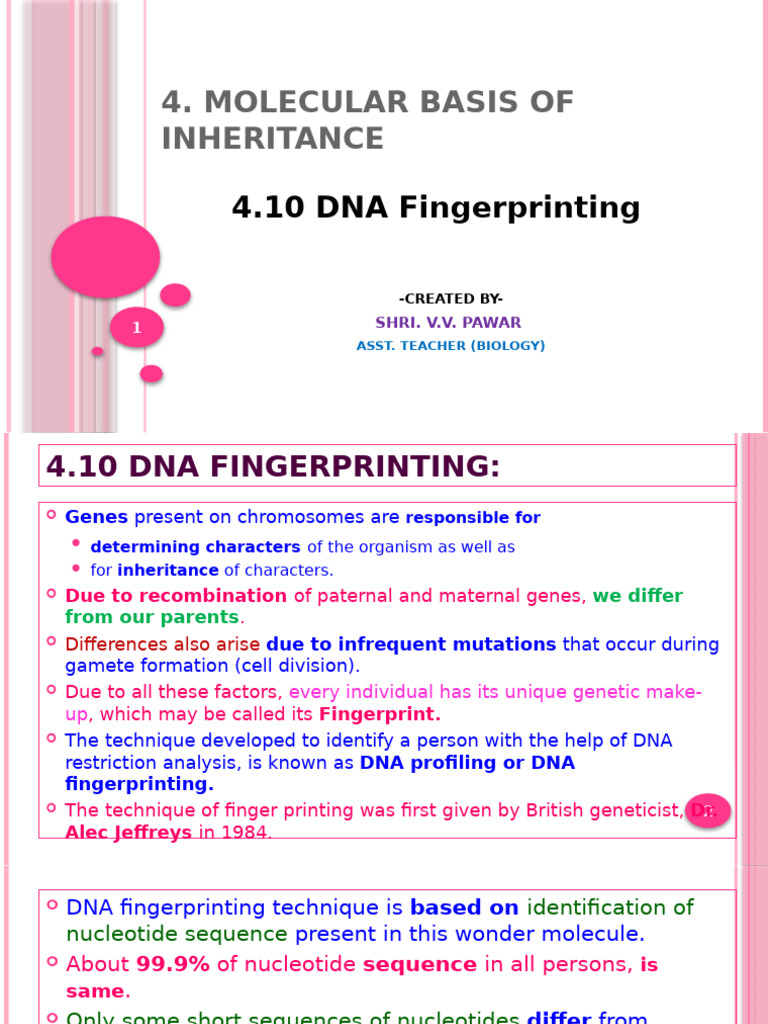 4.10 DNA Fingerprinting | PDF | Dna | Gel Electrophoresis