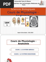 Rôle et anatomie du centre ovale cérébral | PDF | Cerveau | Cortex cérébral