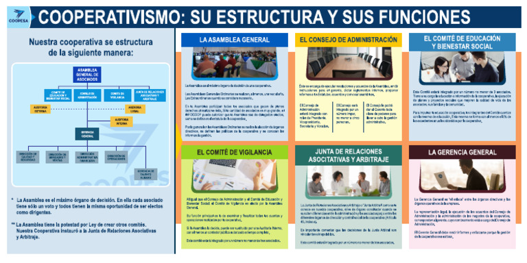 Cooperativismo - Su Estructura y Sus Funciones | PDF