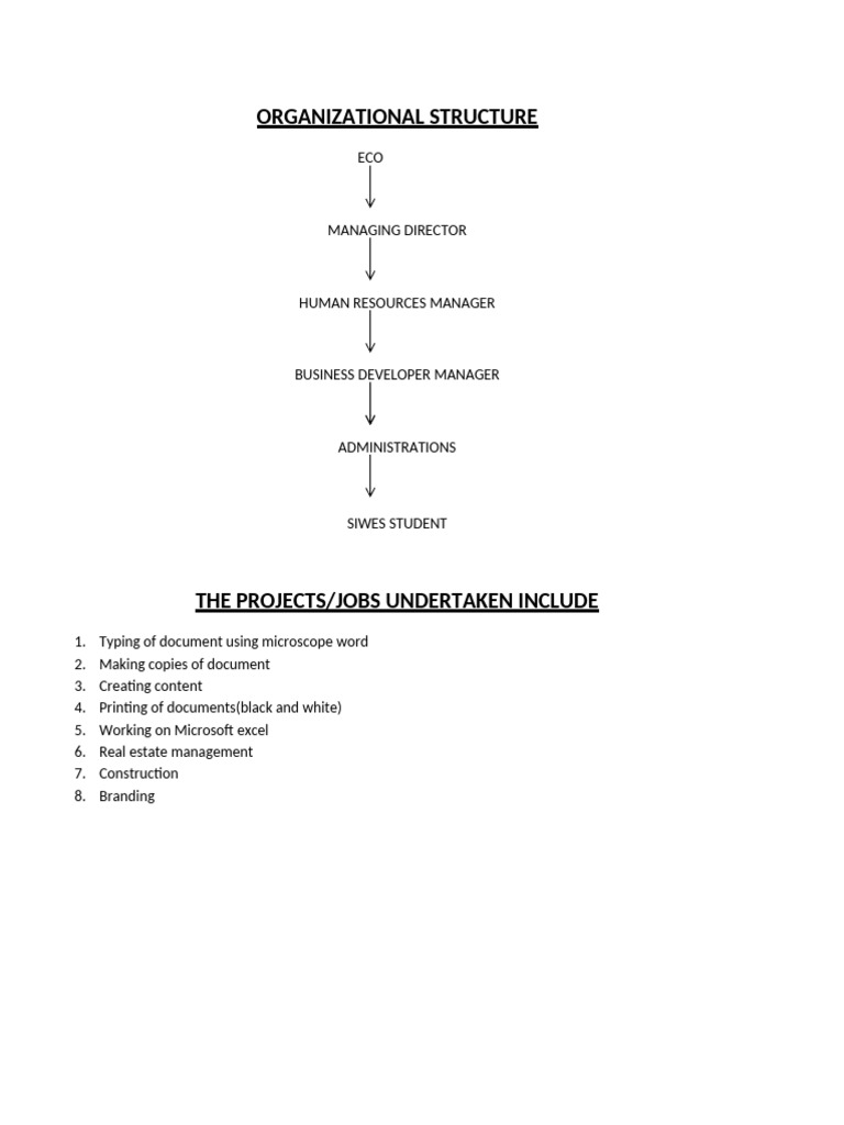 Organizational Structure | PDF