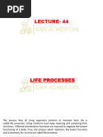 Life Processes Class 10th | PDF