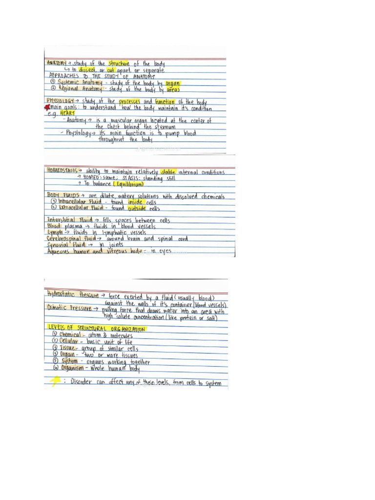Aple | PDF