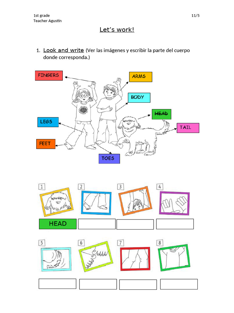 Body Parts Act 2 | PDF
