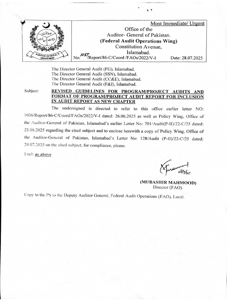 Guidelines - Format For Project Audits | PDF