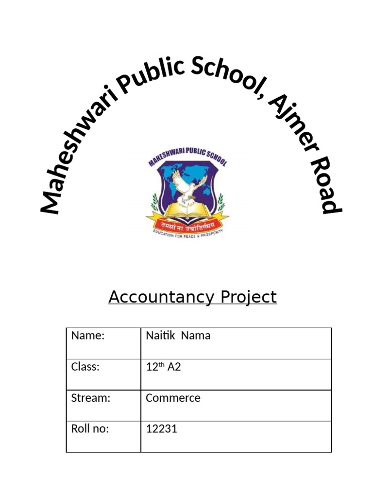 Accountancy Project Overview and Analysis | PDF