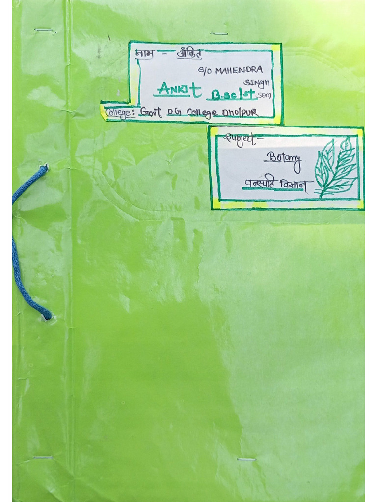 Botany File 1st Semester 2024 | PDF