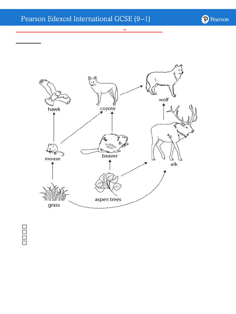 Unit 4 - Ecology and The Environment | PDF | Food Web | Biomass (Ecology)