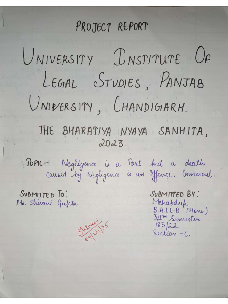 183.22 Bns Project | PDF