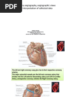Endocrine Dynamic Function Tests Guide | PDF | Endocrine System ...