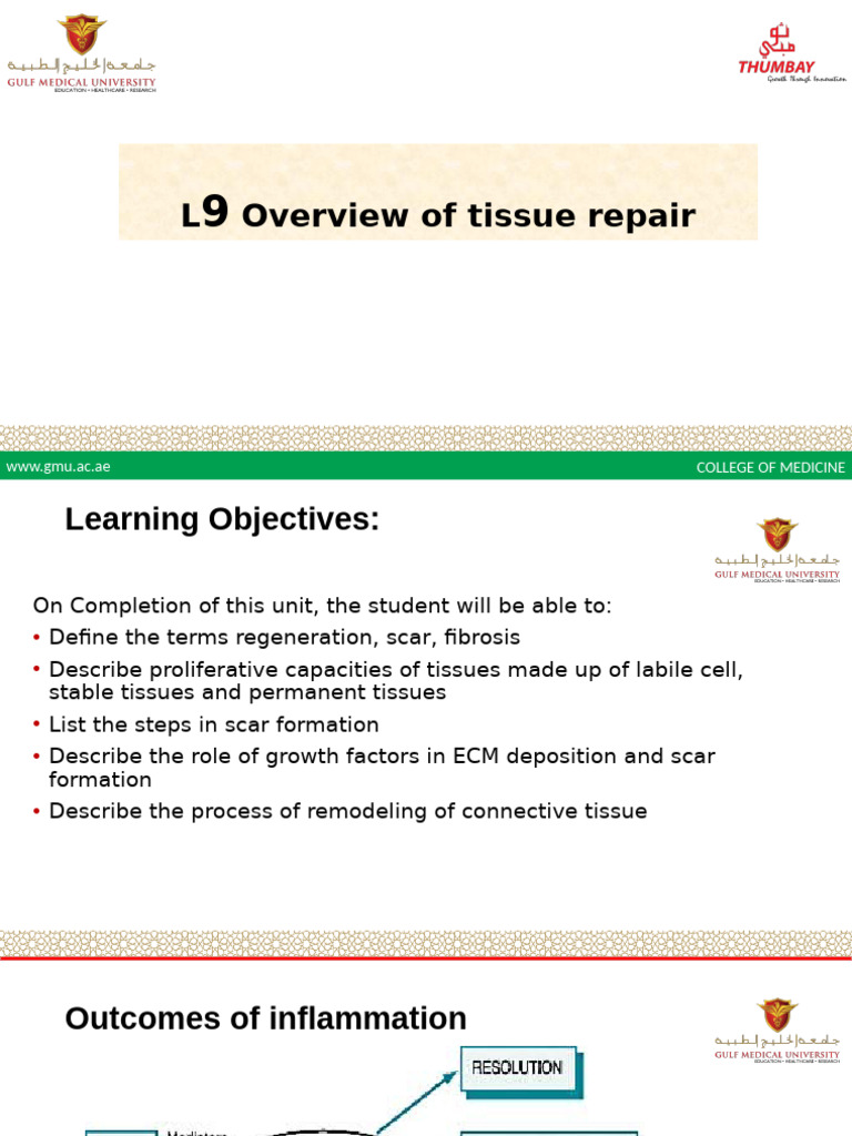 L9 Overview of Tissue Repair | PDF | Wound Healing | Angiogenesis