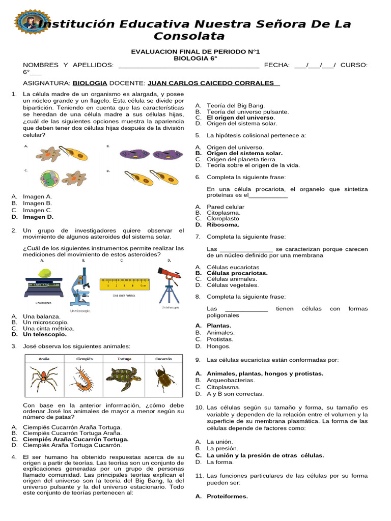 Examen Final de Biologia 6° 1P 2022 | PDF | Biología Celular) | Plantas