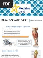 Anatomia Da Perna | PDF | Pé | Anatomia dos membros inferiores